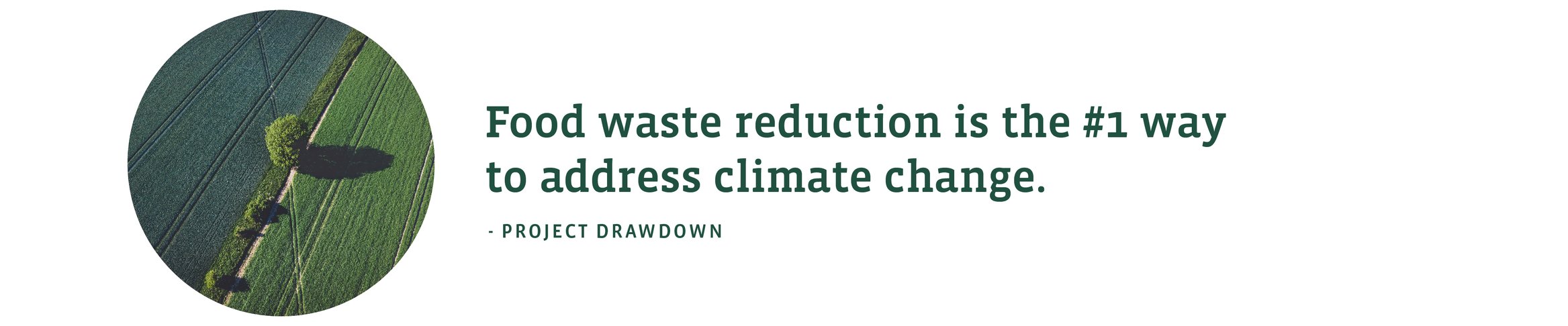 Verified Rescued Produce — Full Harvest